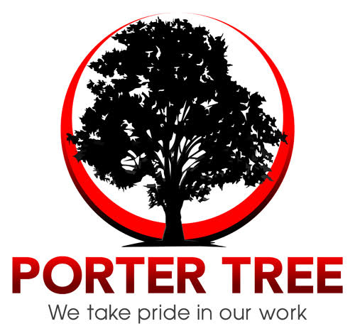 How a Warm Winter Affects Your Trees - Porter Tree Services, LLC
